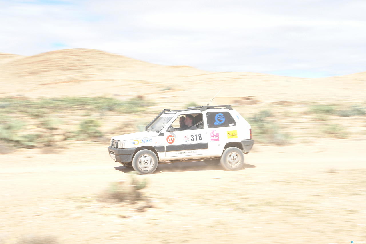 Guía completa para preparar el Panda Raid [#PandaRaidDM]