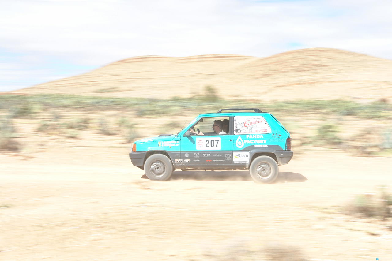Guía completa para preparar el Panda Raid [#PandaRaidDM]