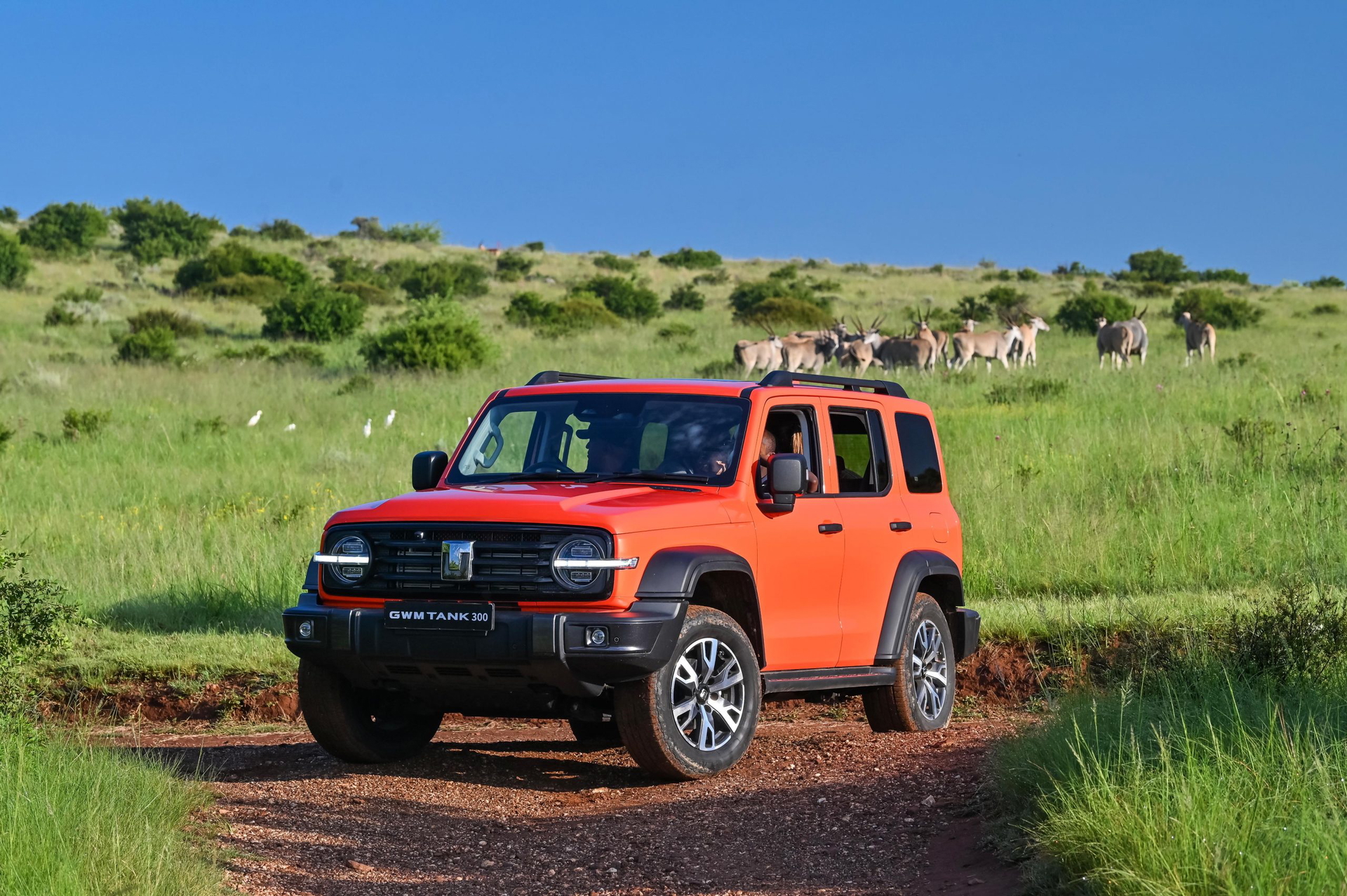 GMW Tank 300 2025, el todoterreno chino con opciones diésel, gasolina e ...