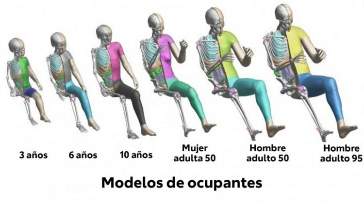 Qué es un dummy: el muñeco sin vida cuya función es salvar la tuya ...